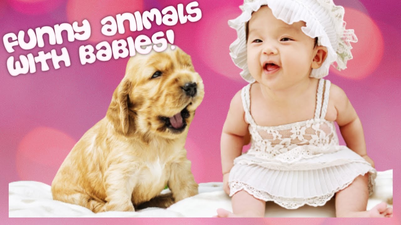 😂 FUNNY 🐮 Animals playing with 👶 BABIES [COMPILATION] - YouTube