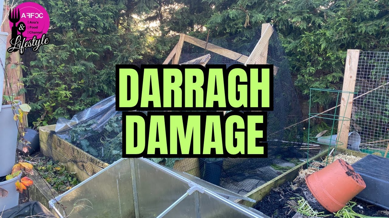 Storm Darragh Damage | Wasn’t expecting that ! - YouTube
