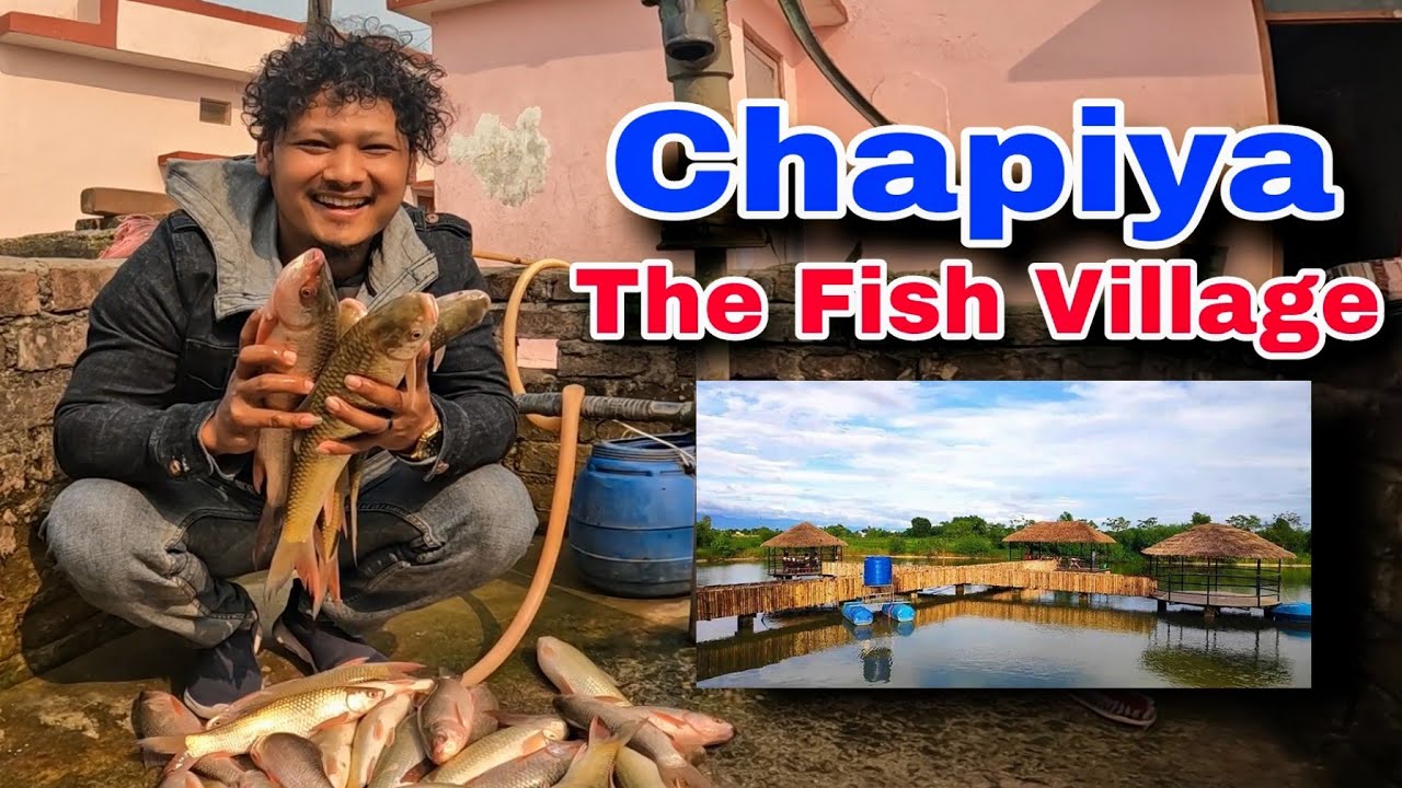 Chapiya The Fish Village: Jani Hoina Ta Fresh Macha Lina - YouTube