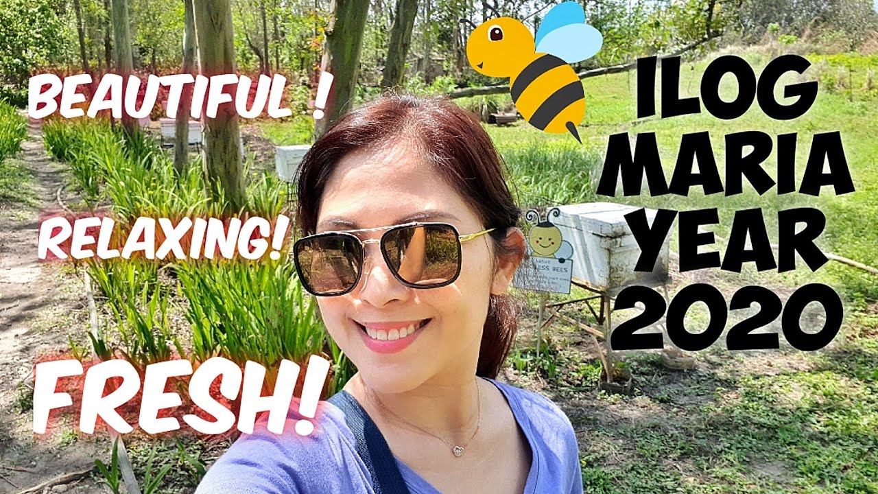 Ilog Maria Honeybee Farm (before COVID) - YouTube