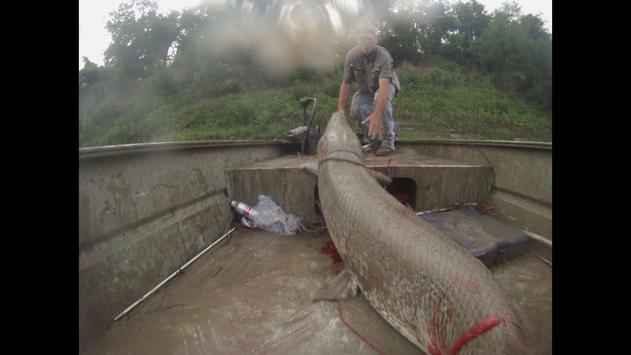 TEXAS GAR FISHING GUIDE SERVICE - YouTube