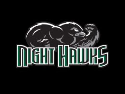 Nighthawks Baseball Logo