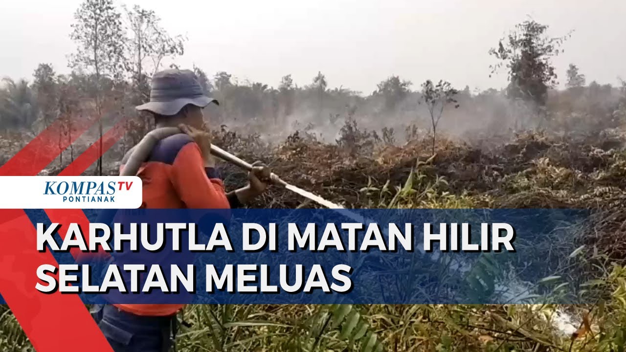 Lahan Kering & Angin Kencang, Karhutla di Matan Hilir Selatan Meluas ...