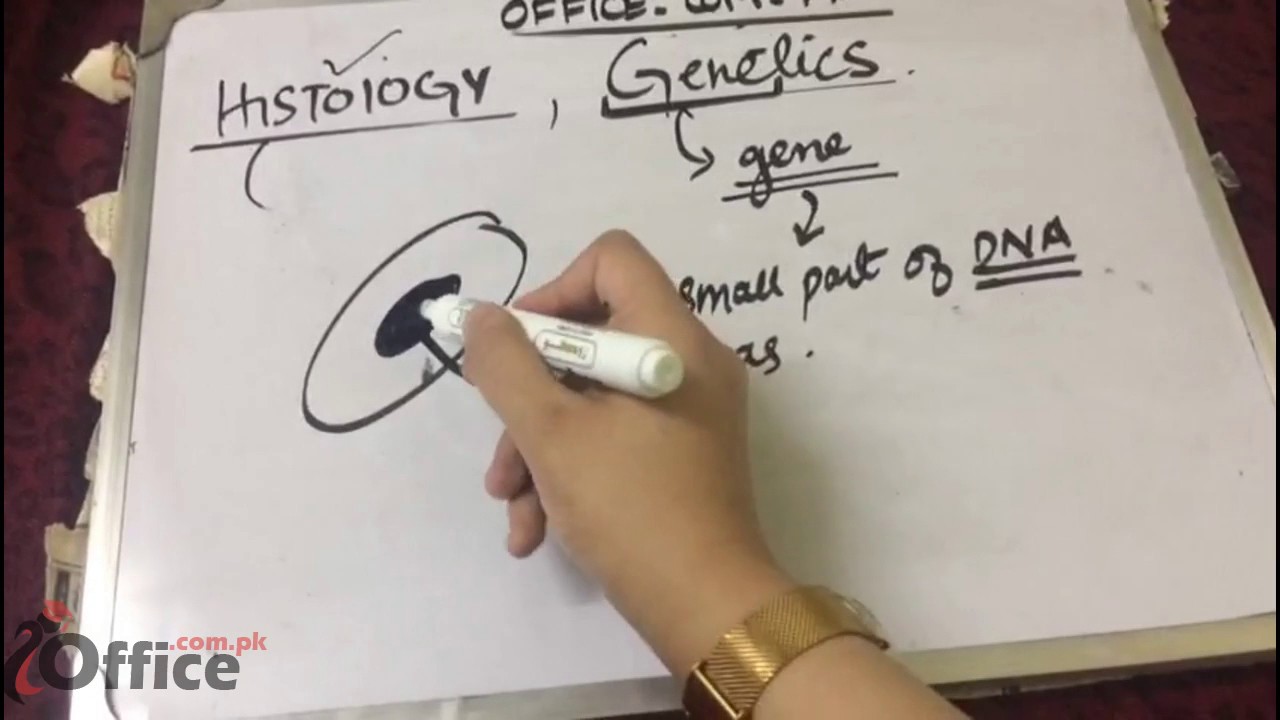 Histology and Genetics - YouTube