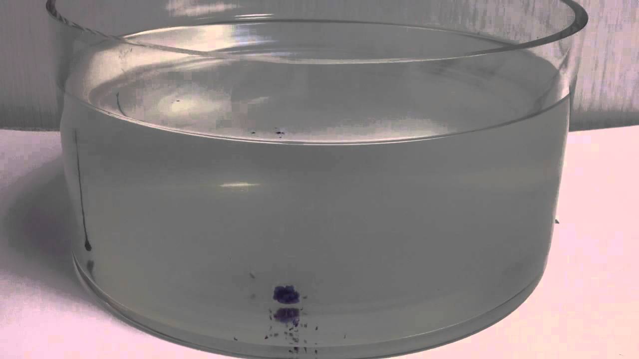 Crystal Garden - Cobalt(II) Silicate - YouTube