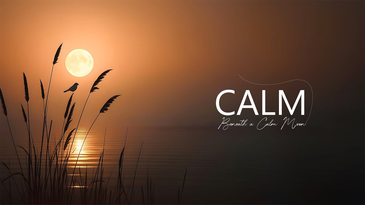 Beneath a Calm Moon. - YouTube