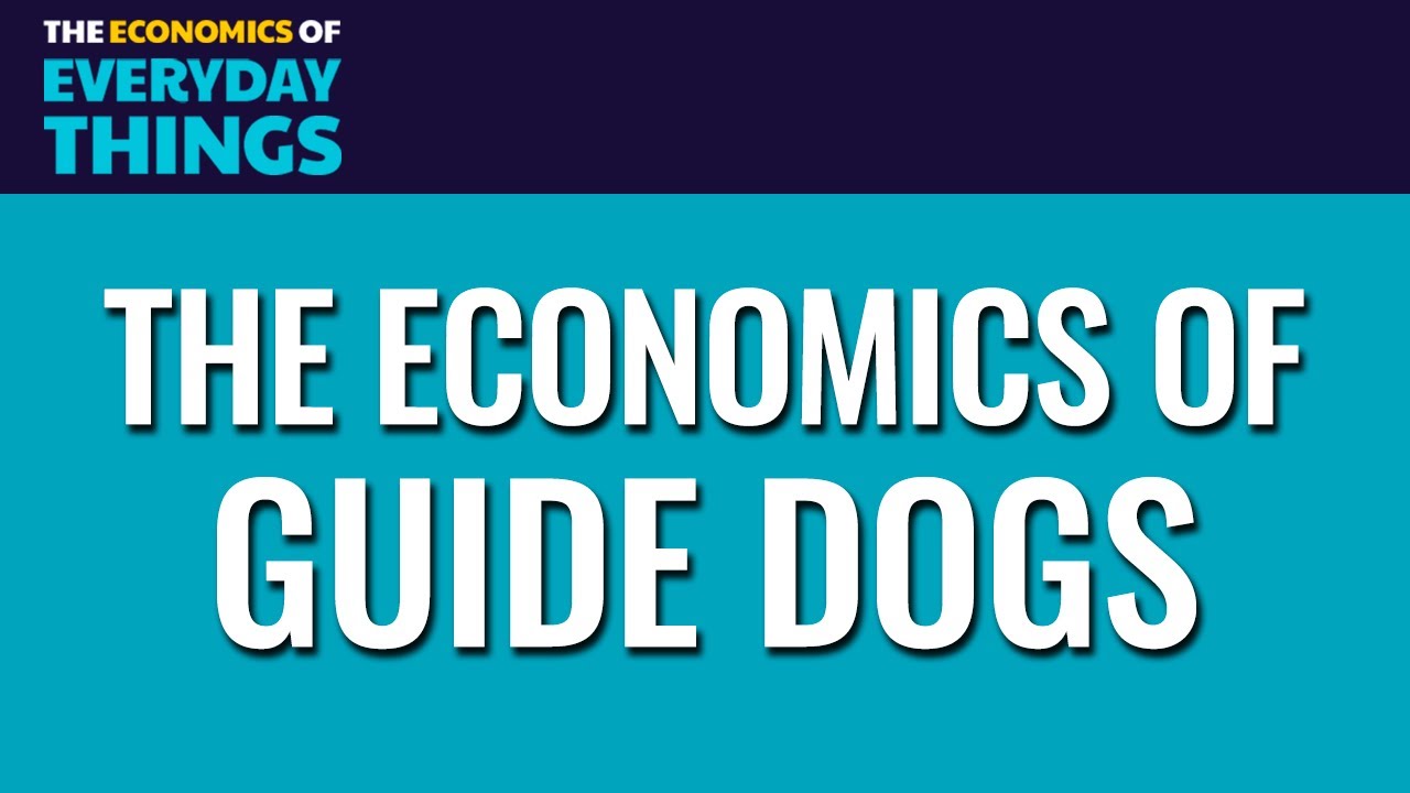 81. Guide Dogs | The Economics of Everyday Things - YouTube