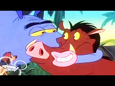 Timon & Pumbaa Season 1x23B - Paraguay Parable Full Episode