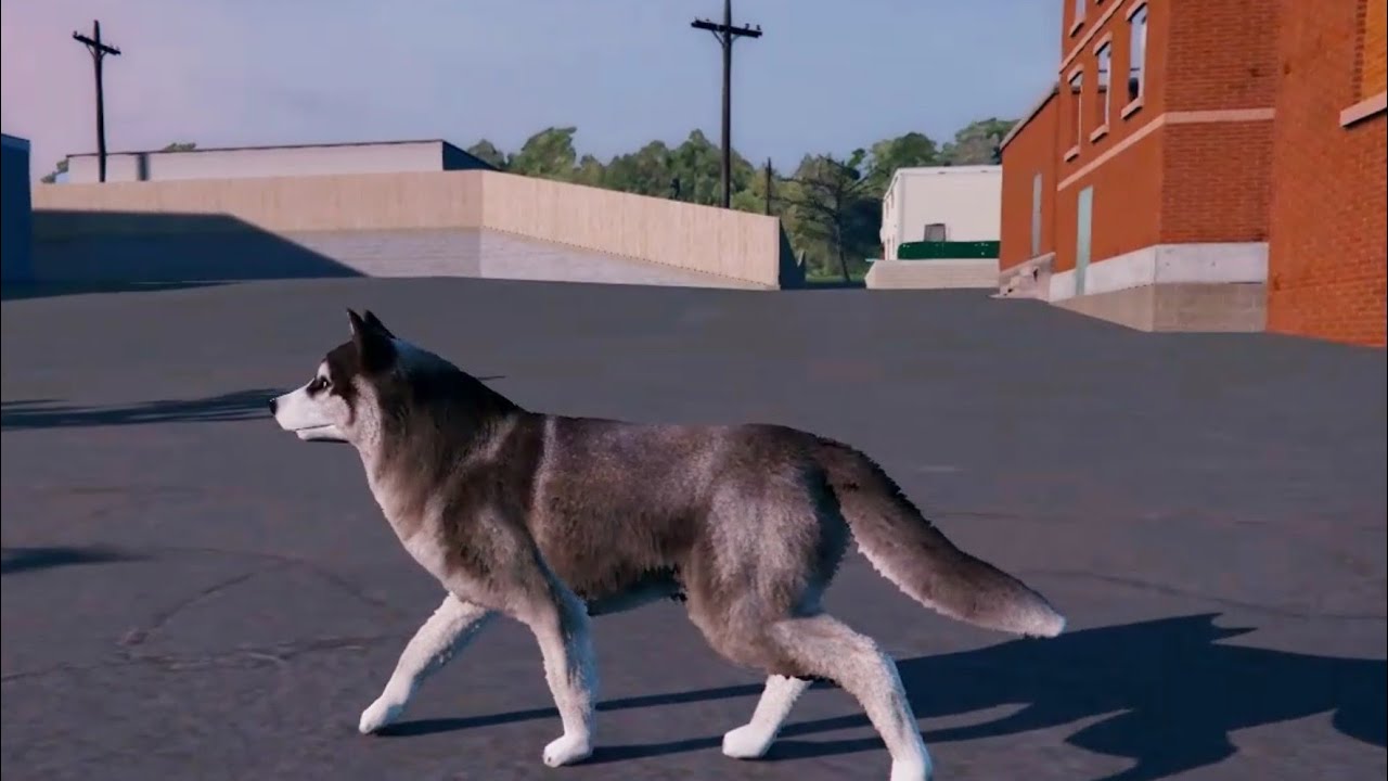 HUSKY DOG SIMULATOR (PC) GAMEPLAY - YouTube