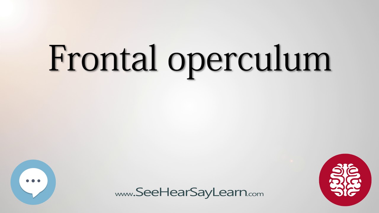 Frontal operculum Anatomy of the Brain SeeHearSayLearn 🔊 - YouTube