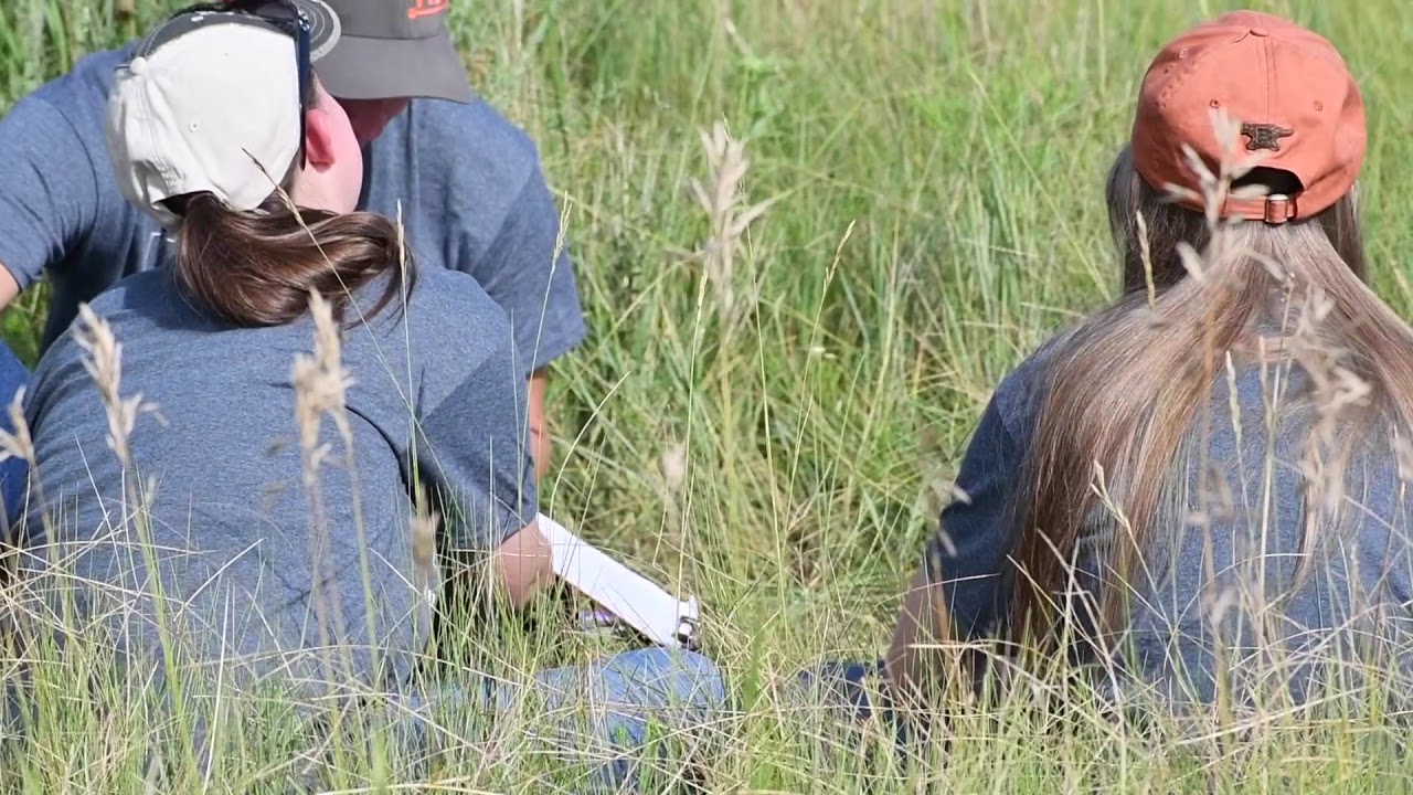 Wildlife Habitat Education Program National Contest - YouTube