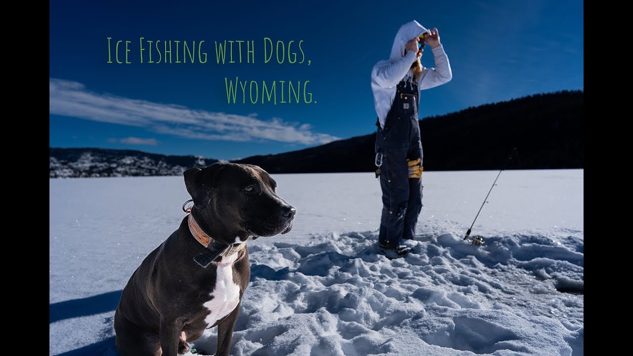 Ice Fishing With Dogs - YouTube