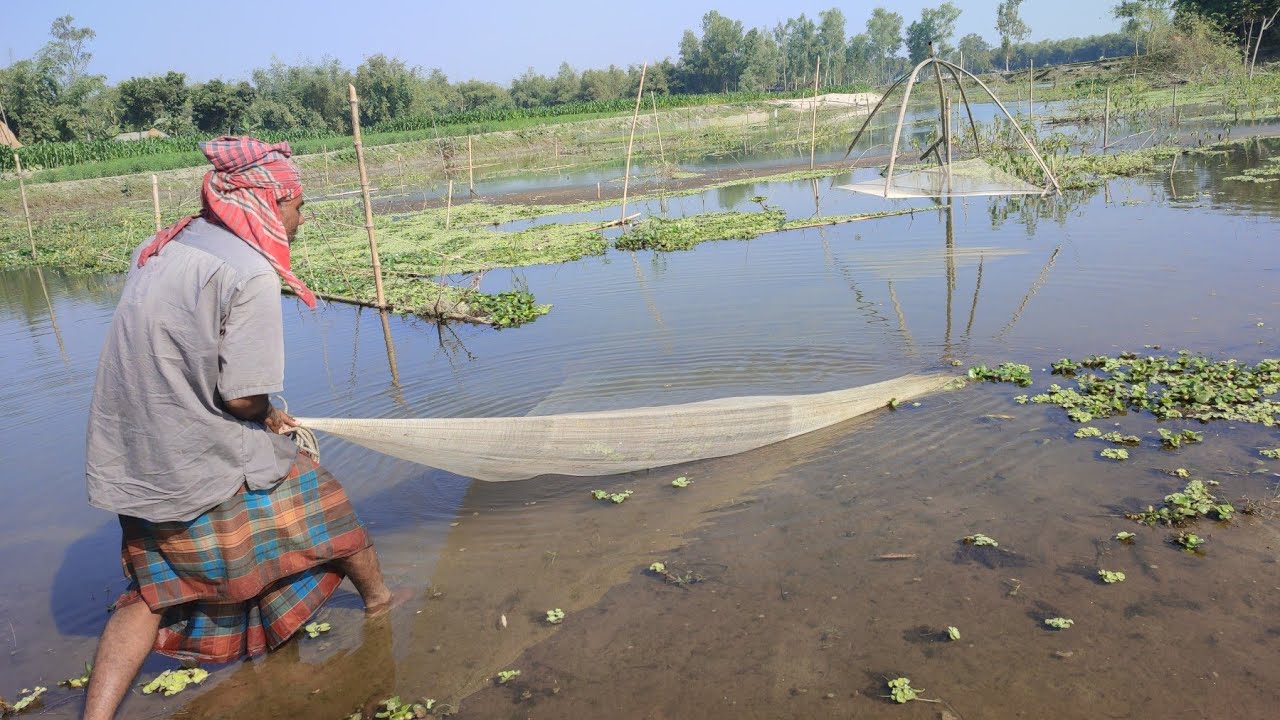 Best Net Fishing Video Very Amazing Fishing Skill Village Poor ...