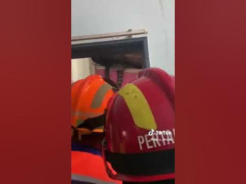 Reticulated python invades home in Malaysia and lodges in the ceiling ...