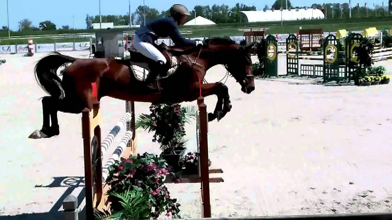 Heibl Ágnes & Chacco-Bella - Hippo Arena Šamorín (130) - YouTube