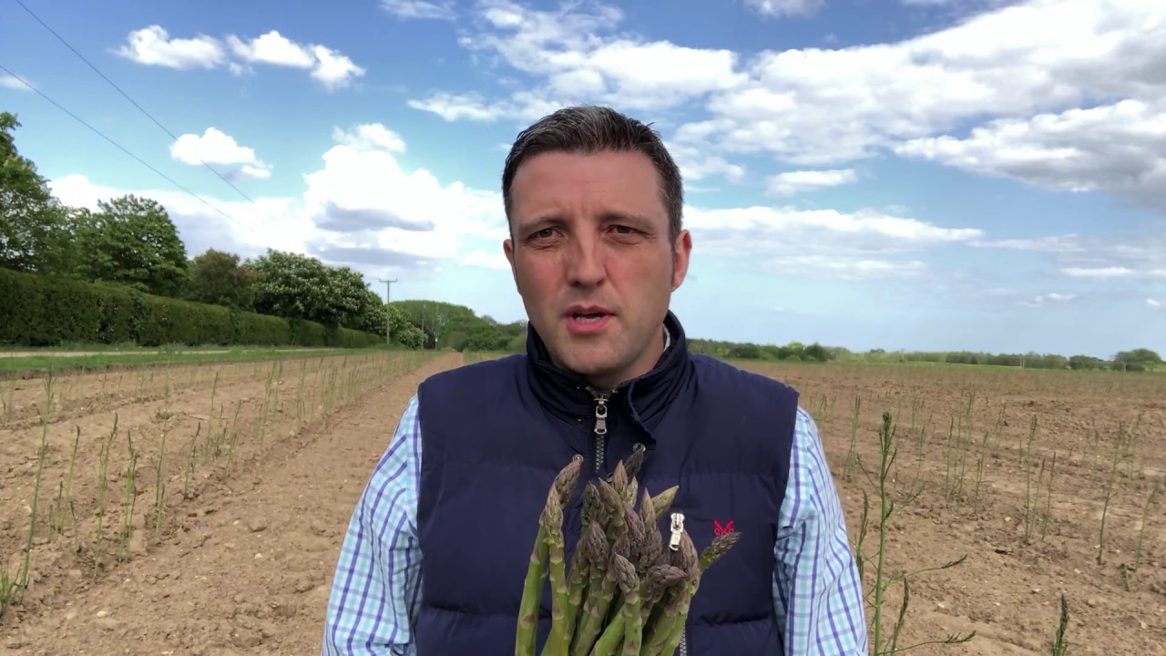Guelph Eclipse Asparagus 2018 - YouTube