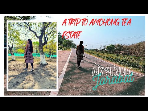 Guwahati | Amsing Jorabat | Amchong Tea Estate | Panbari | Assam | 2022 ...