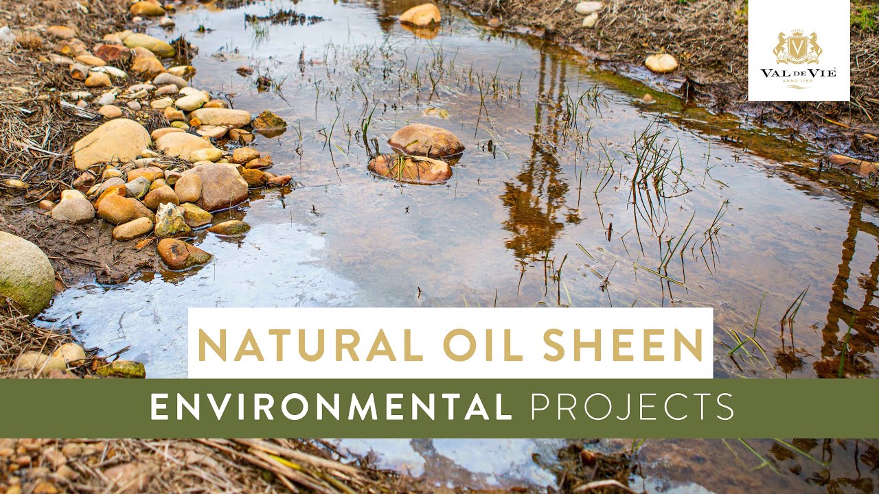 Natural Oil Sheen | Environmental Projects on Val de Vie Estate - YouTube