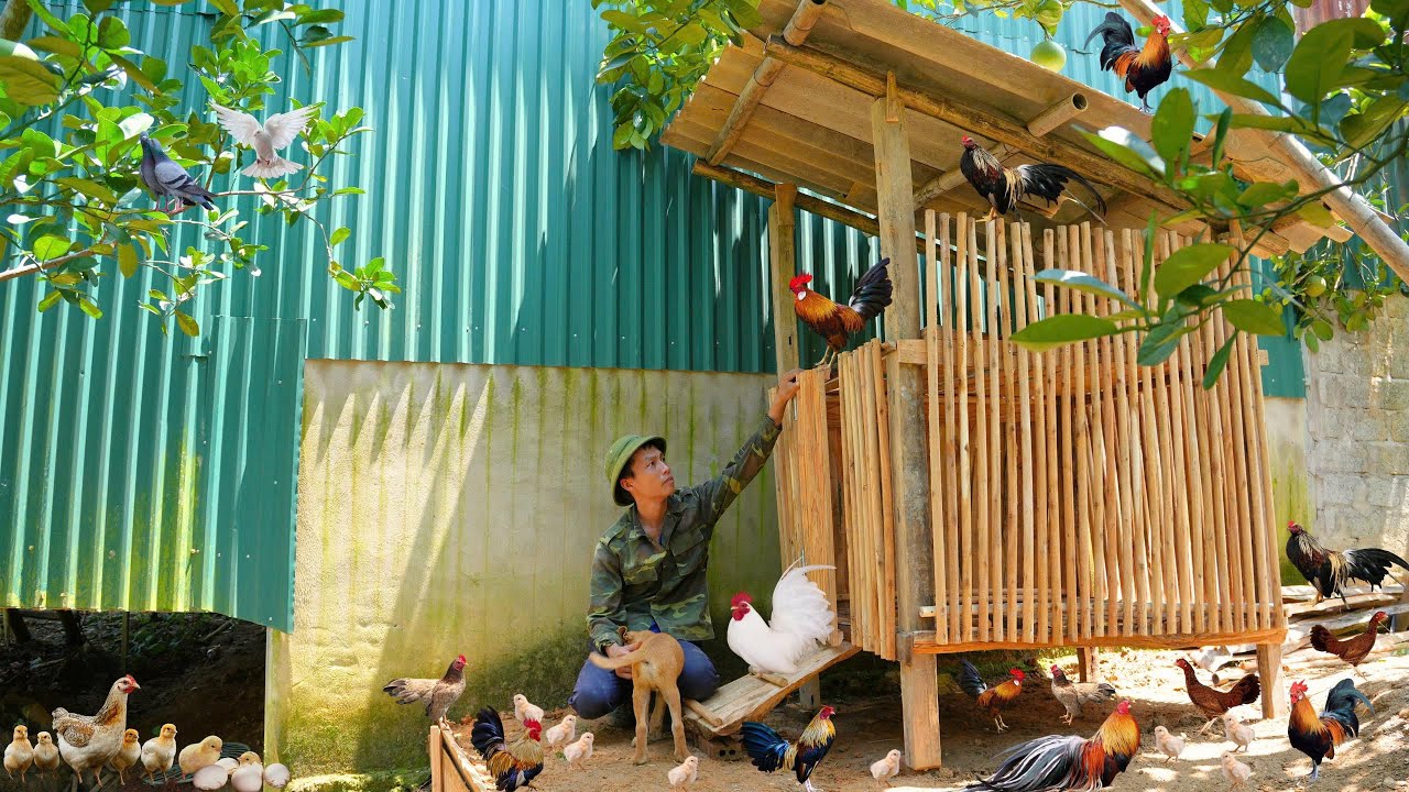 Build a chicken coop, catch fish in the pond and cook – step by step ...