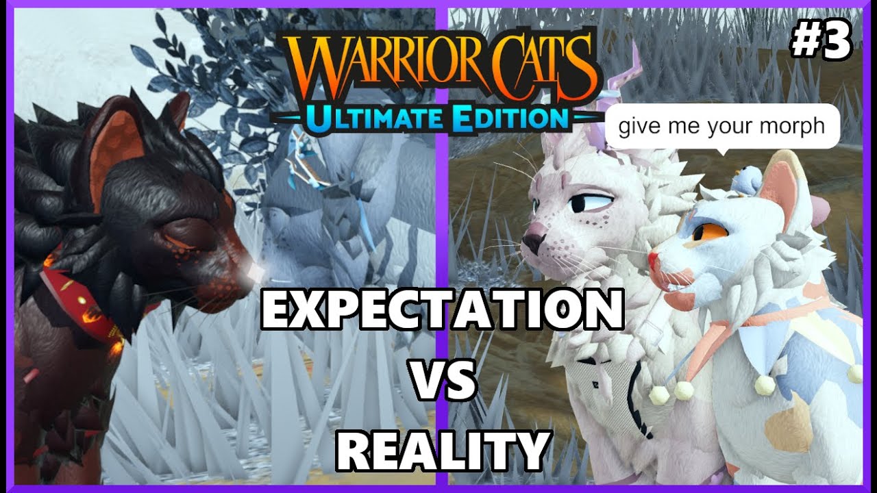 Expectation Vs Reality #3 | Warrior Cats: Ultimate Edition - YouTube
