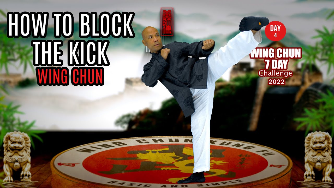 How to block kick and punch in Wing Chun day 4 - YouTube