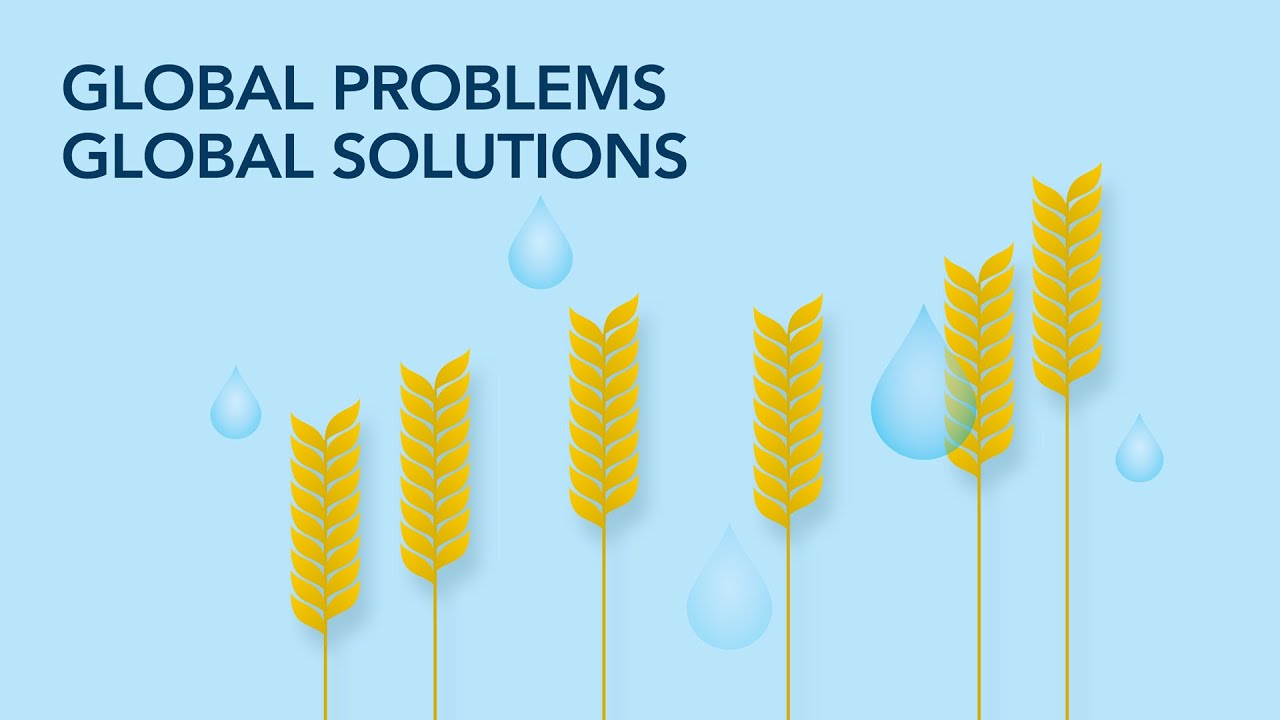 Global Problems, Global Solutions Pt 2 | Insight with David Hulme - YouTube