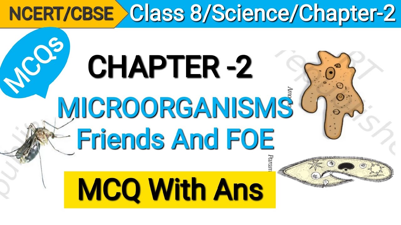 MCQ Class 8 Science Chapter 2 | MCQ Microorganisms Friends And Feo ...