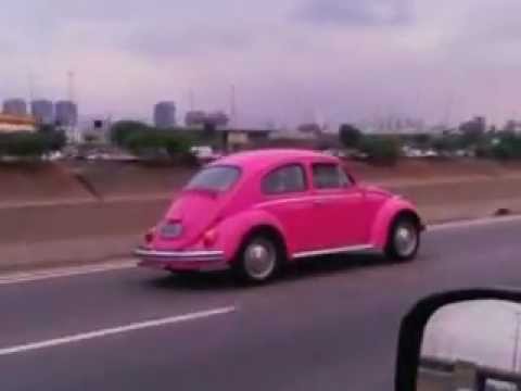 FUSCA ROSA VOCHO ESCARABAJO BEETLE VOSVOS - YouTube