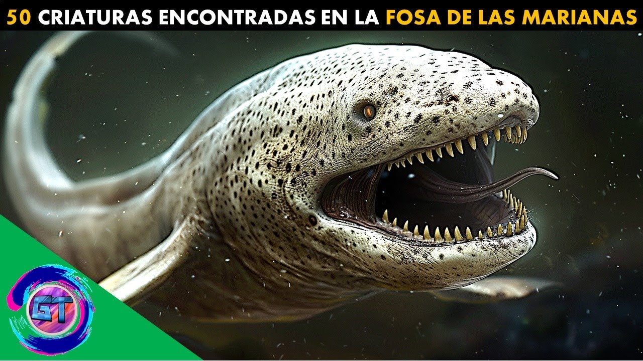 50 CRIATURAS DE LA FOSA DE LAS MARIANAS | Peces Abisales - YouTube