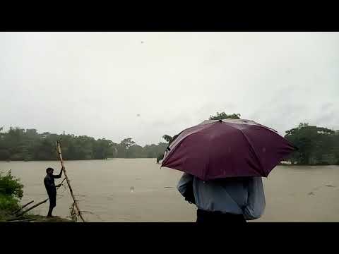 Flade in Nivia                    (2018)