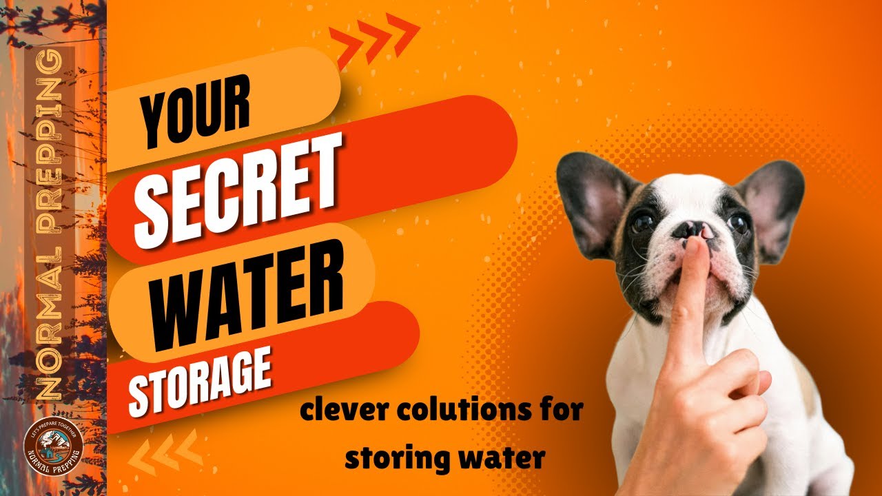 Emergency Water Storage: Clever Solutions for Storing Water in Your ...