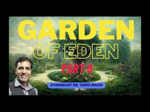 Garden of Eden (Part 6) | باغ عدن (پارٹ ٦) - YouTube
