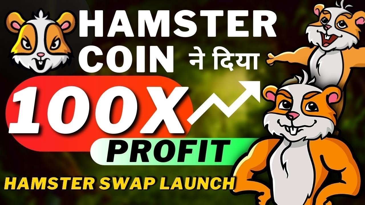HAMSTER COIN 100X SOON | HAMSTER COIN BIG NEWS | #memes #bull - YouTube
