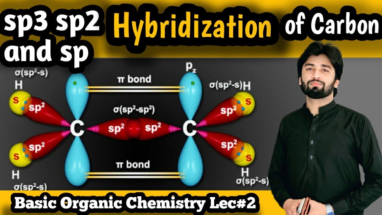 Hybridization | sp3 sp2 and sp hybridization of carbon | Hybridization ...