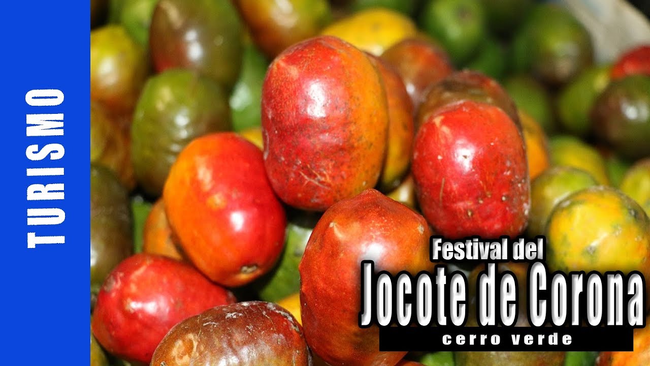 Jocotes De Corona