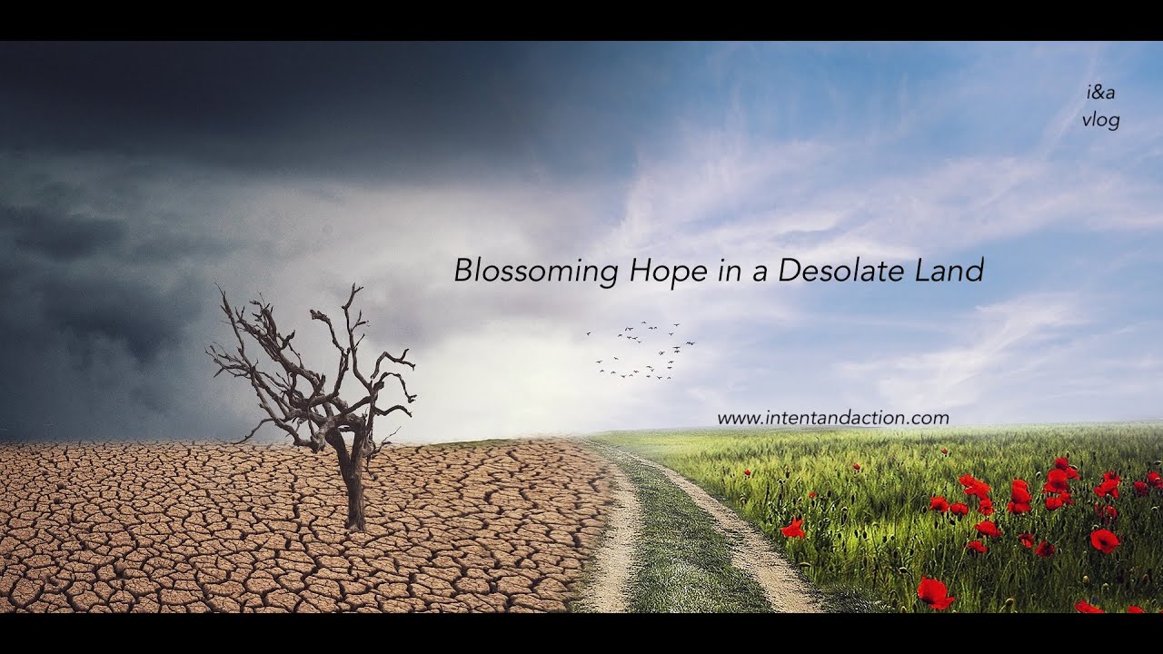 Blossoming Hope in a Desolate Land: Imperfect in an Uncertain World ...