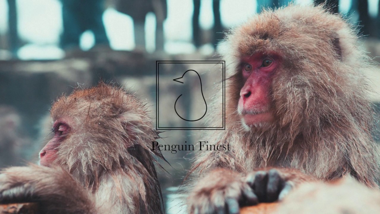 Jevon Ives - Myself - YouTube