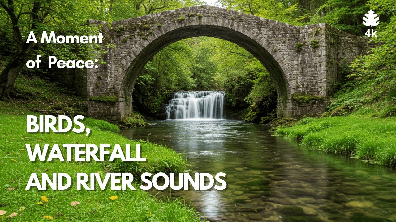 A Moment of Peace: BIRDS, WATERFALL AND RIVER SOUNDS - YouTube