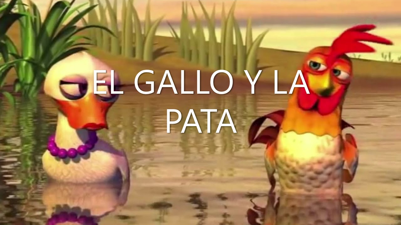 EL GALLO Y LA PATA - ONLY MUSIC - YouTube