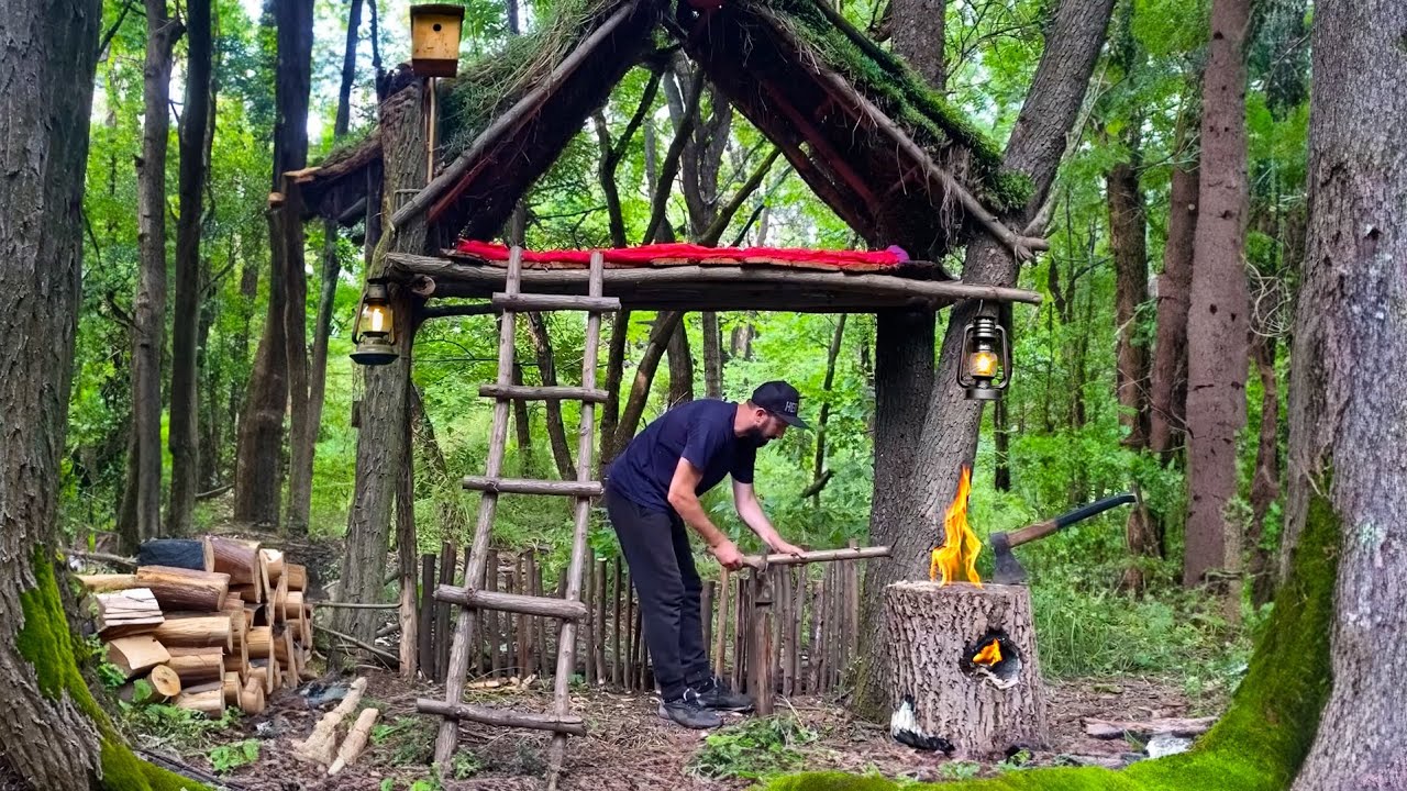 Building Tree Shelter from start to finish | Survival - YouTube