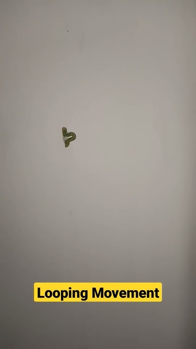 Looping Movement #shortsvideo #looping #loopingmovement #loops - YouTube