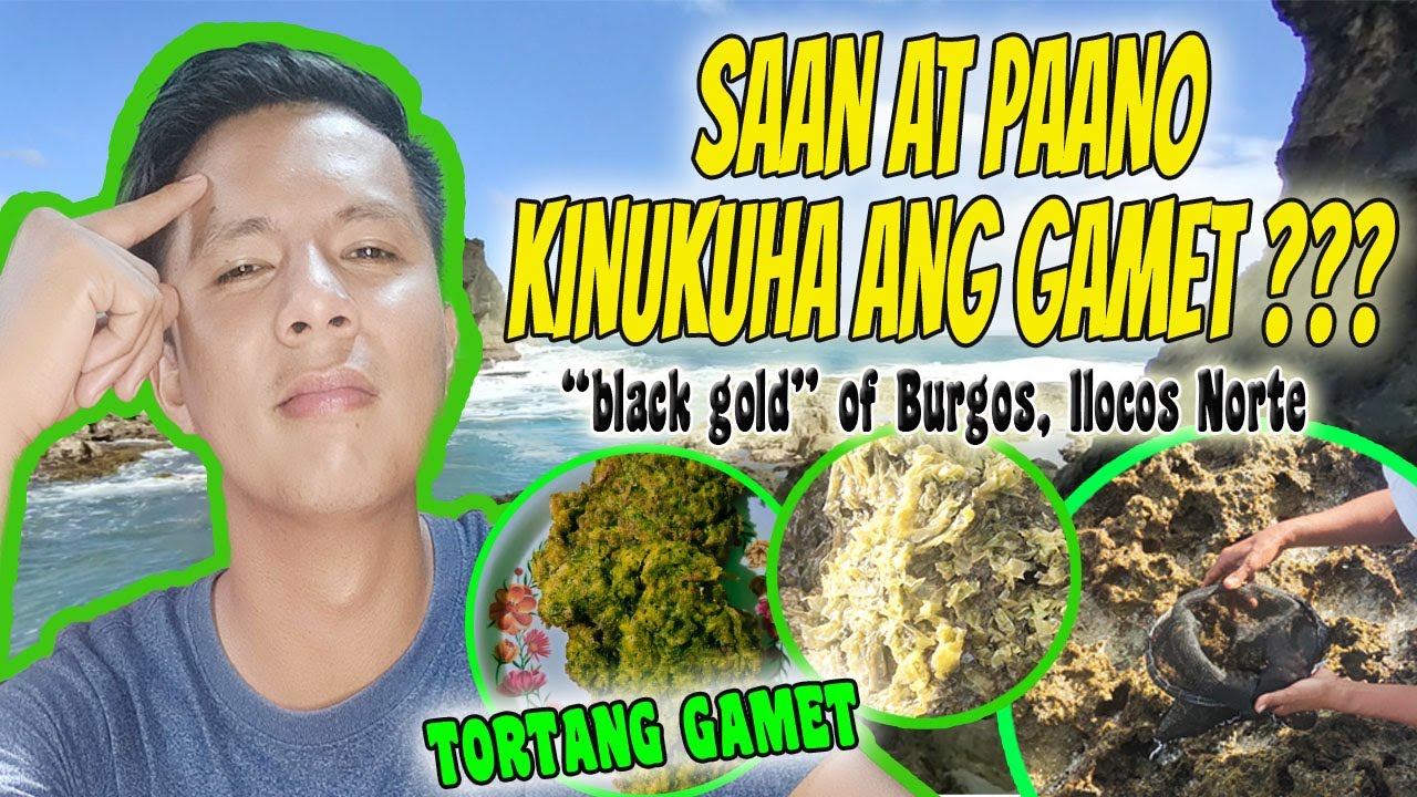 SAAN AT PAANO KINUKUHA ANG GAMET??? | TORTANG GAMET - YouTube