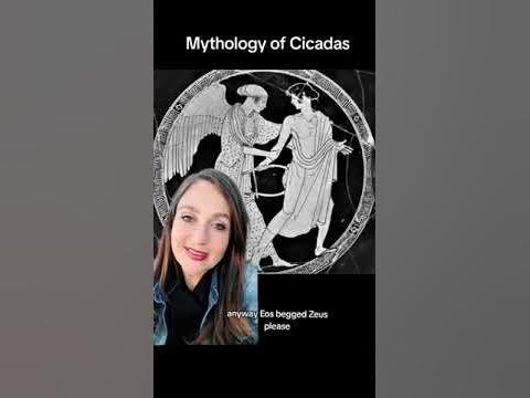 Cicadas in Greek Mythology - YouTube