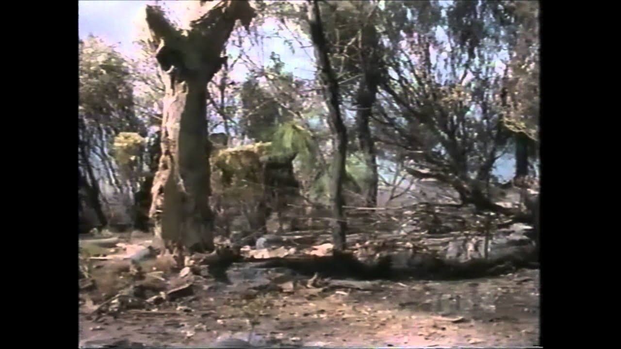 Prehistoric Australia Part 2 - YouTube