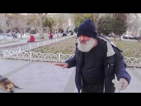 Sevişme istanbul taciz tecavüz tayyip hayvanlara yardım etmiyor araplara yardım ediyor Fatih anıt pa