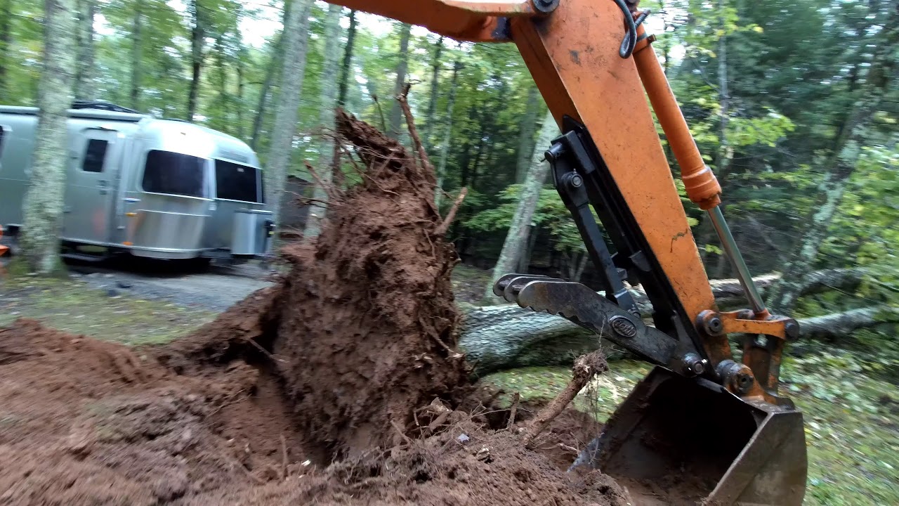 Pushing Oak trees away from a house - YouTube
