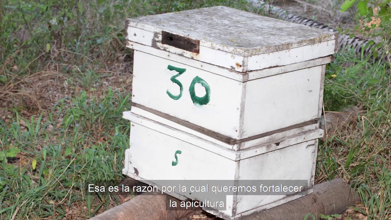 Trabajamos para el sustento familiar - YouTube