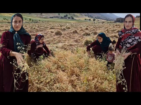 Because of Her Kindness: What Did I Do for Zahra Today?