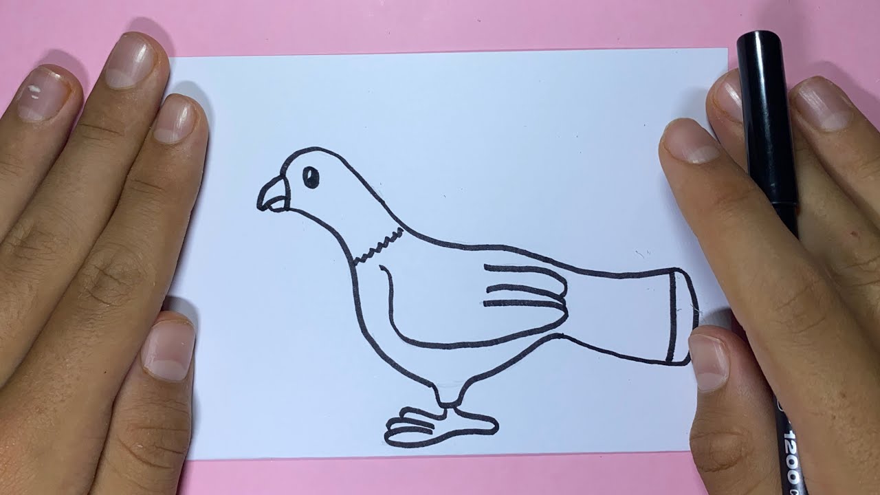 COMO DIBUJAR una PALOMA FÁCIL y paso a paso - YouTube
