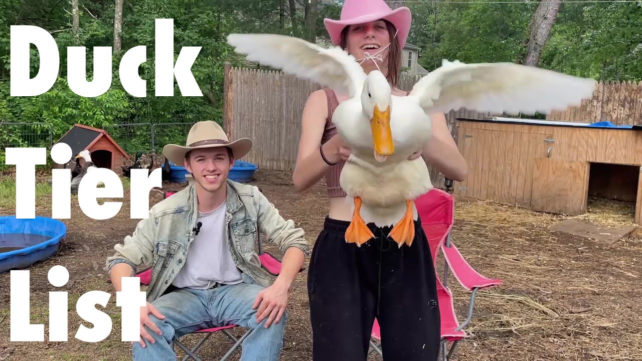 The Duck Tier List - YouTube